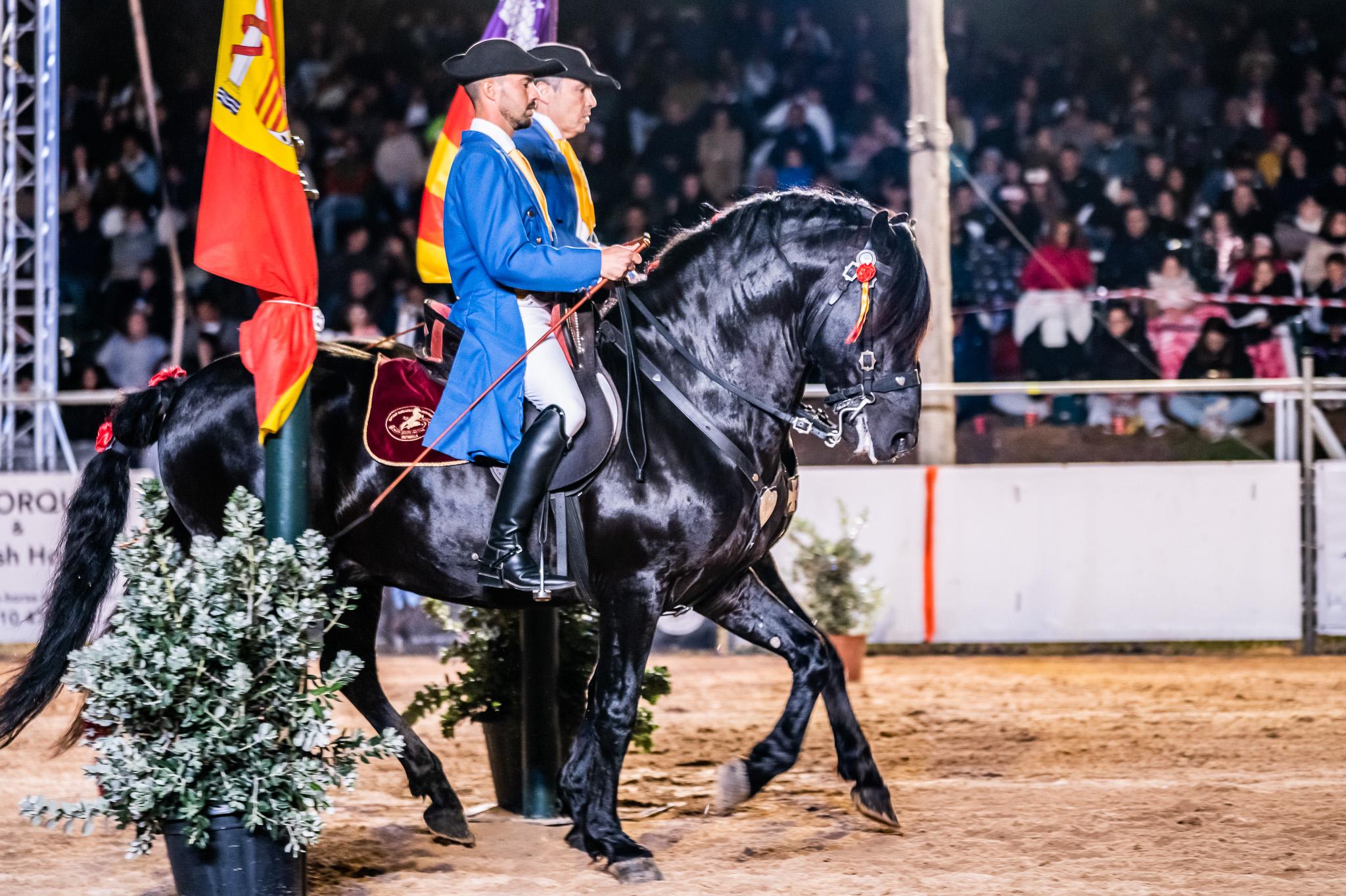 Fotogalería: Imatges de la Fira del Cavall de Menorca