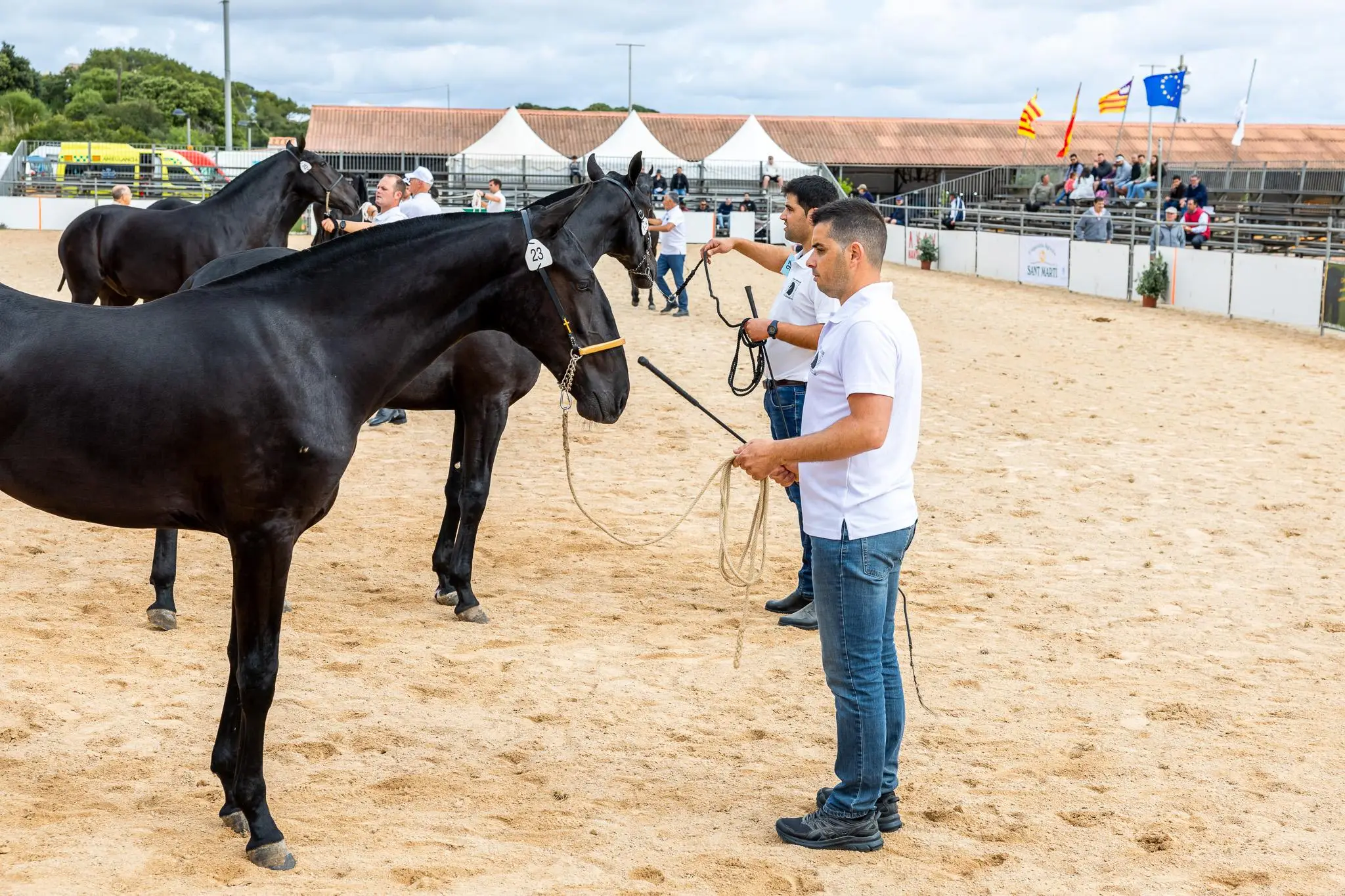 Fotogalería: Imatges de la Fira del Cavall de Menorca