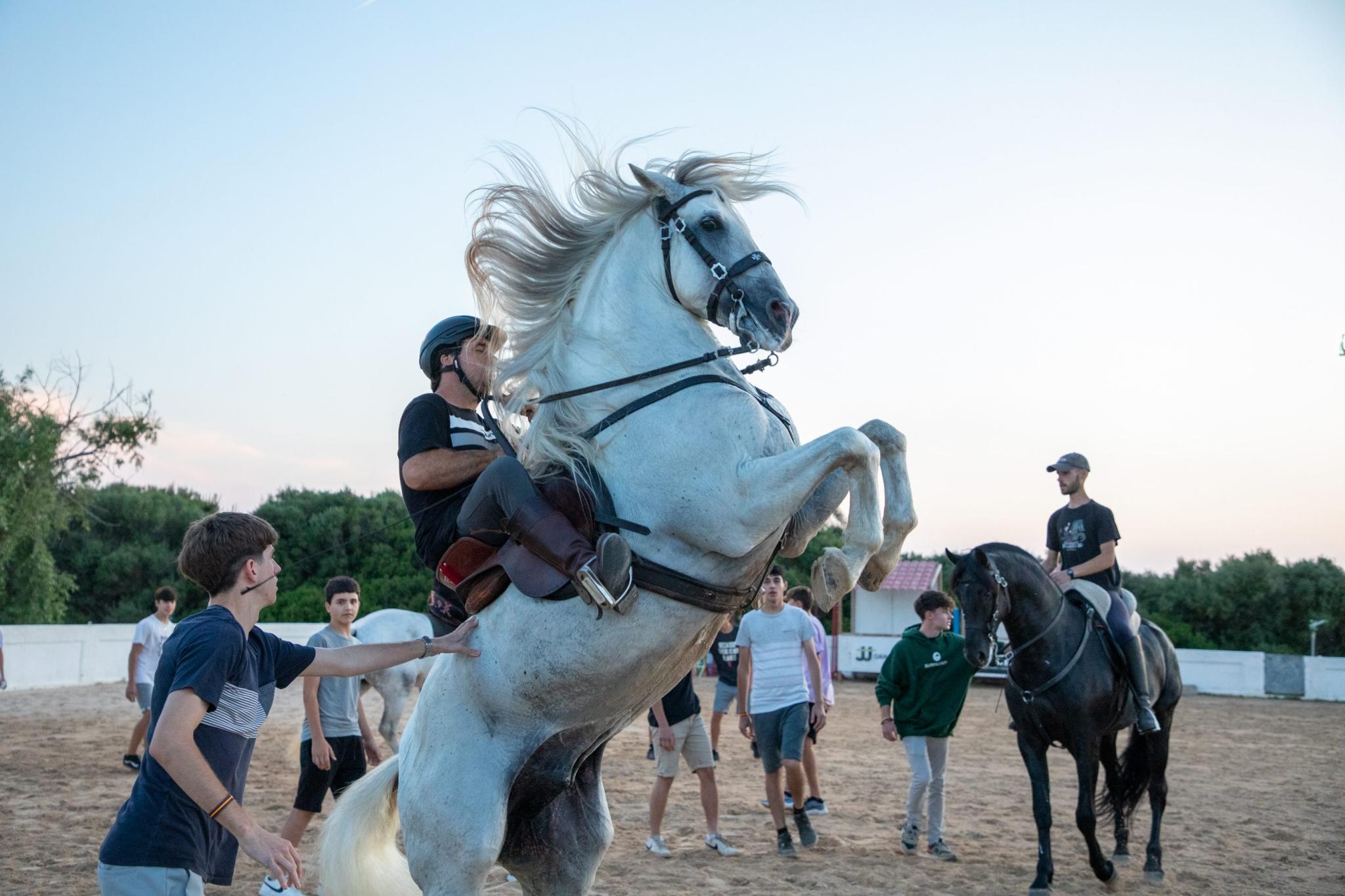Fotogalería: Imatges dels replecs del Club Hípic i Ses Arenetes de Dalt