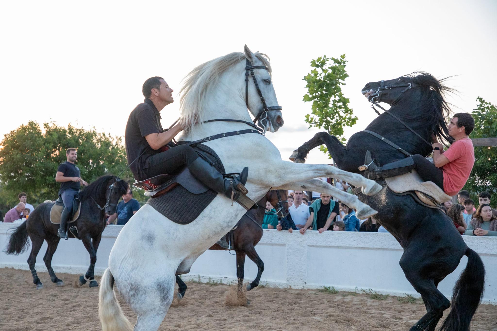 Fotogalería: Imatges dels replecs del Club Hípic i Ses Arenetes de Dalt