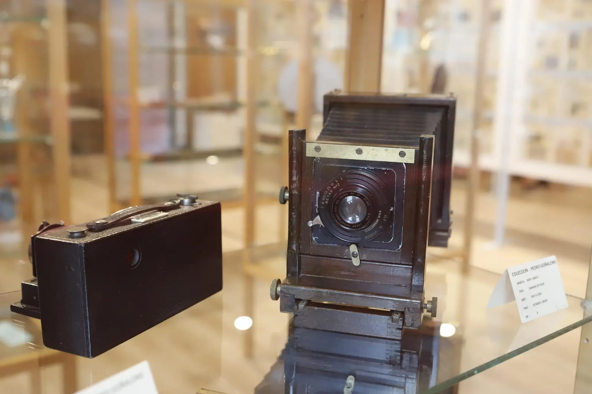 Fotogalería: Imatges de l'exposició al Claustre dedicada a Josep ...