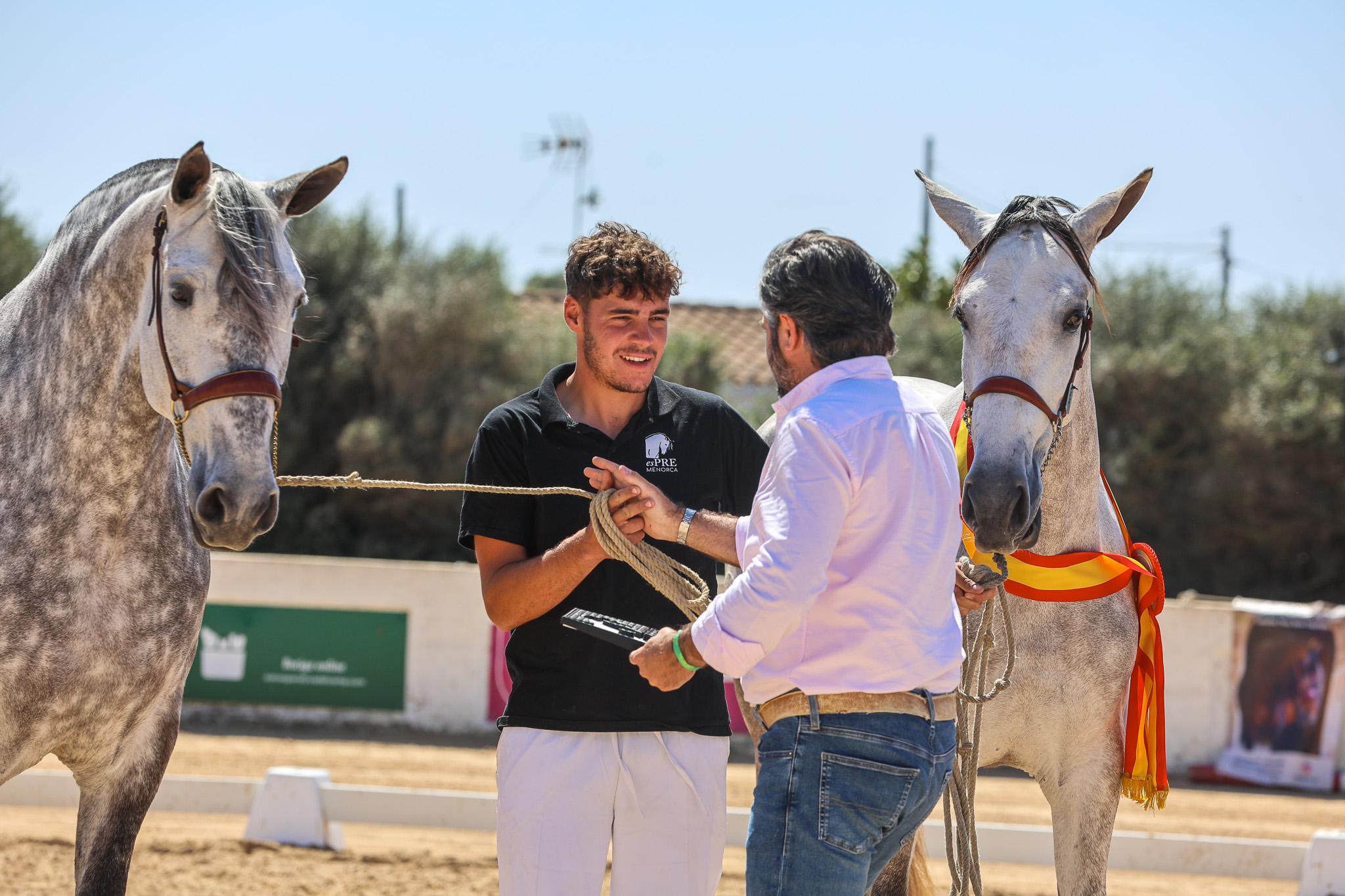 Fotogalería: FOTOS | Concurs morfològic de cavall de raça espanyola
