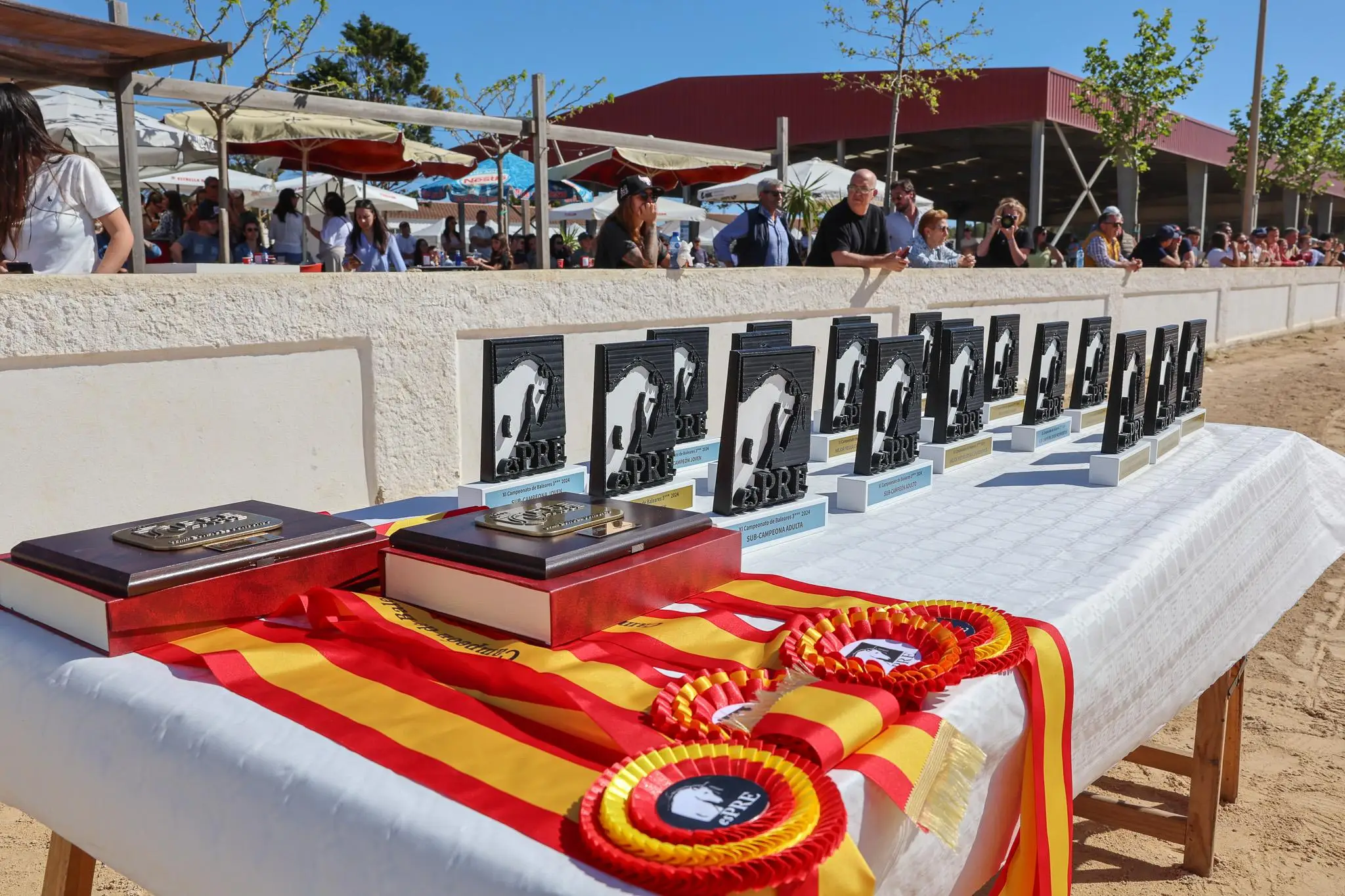 Fotogalería: FOTOS | Concurs morfològic de cavall de raça espanyola
