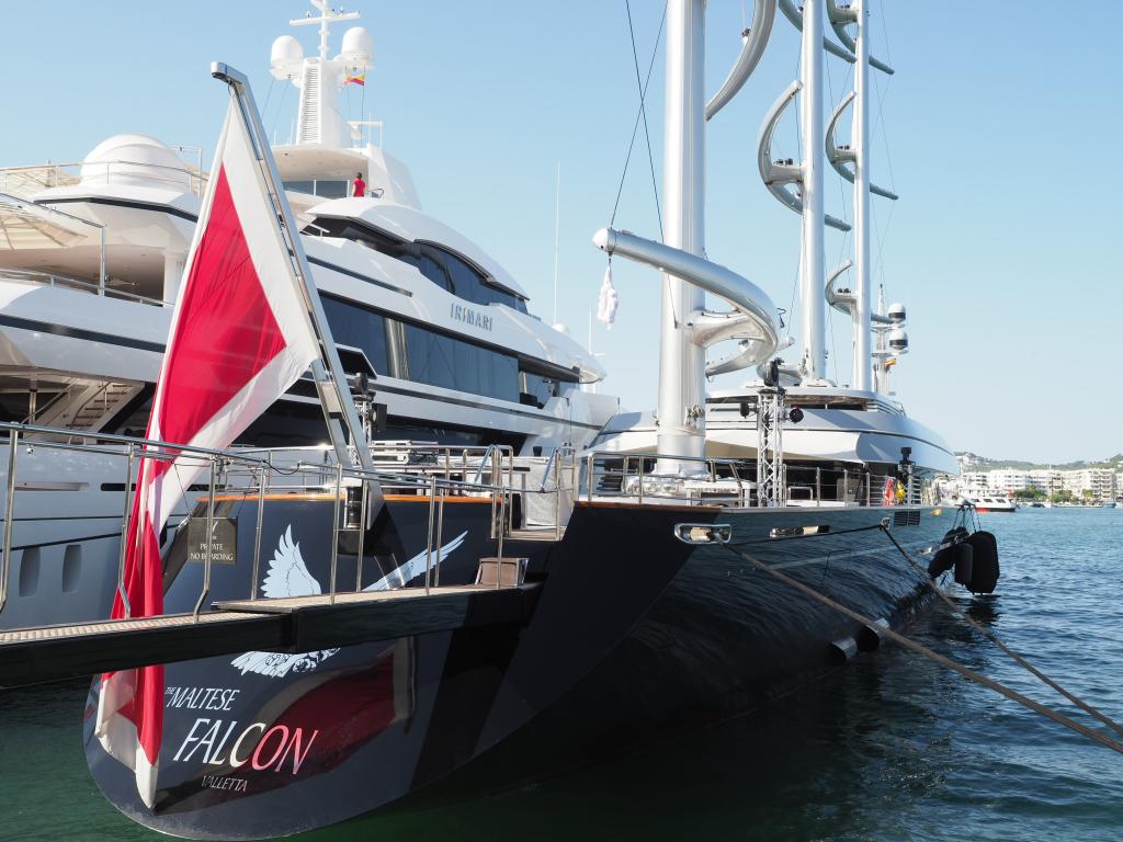 Fotogalería: Un halcón maltés en el puerto