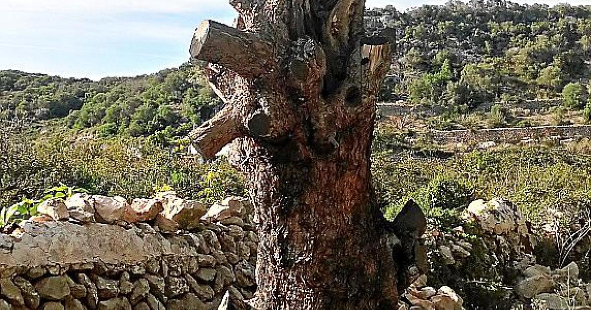 Que casi en el primer aniversario del cap de fibló...