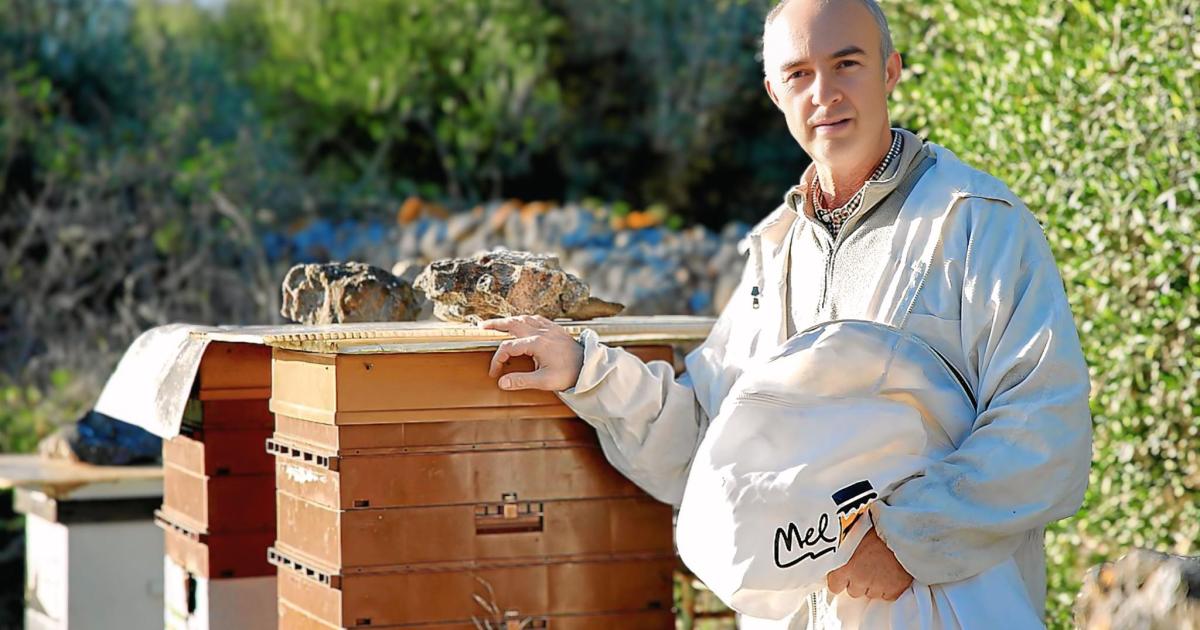 Les dues mels de Menorca que triomfen al Golden Bee Award 2025