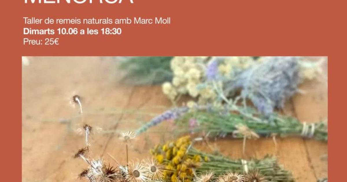 Taller de plantas medicinales de Menorca en Ciutadella