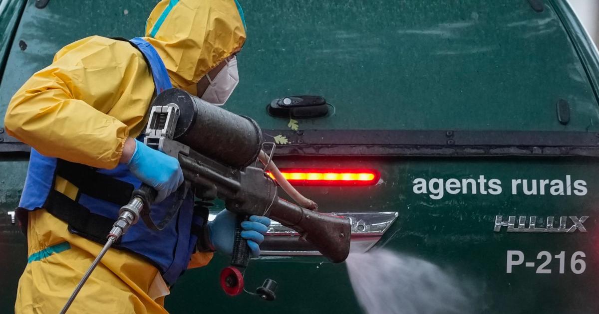 Agricultura crea un comité científico para el asesoramiento del brote ...